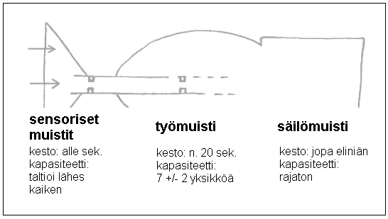 Psykologia 3 oppimispäiväkirja: Muistin toiminta