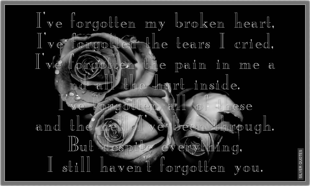 I've Forgotten My Broken Heart - SILVER QUOTES