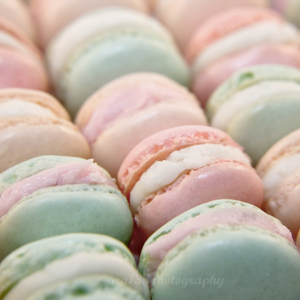 Hiving Out: macaron color