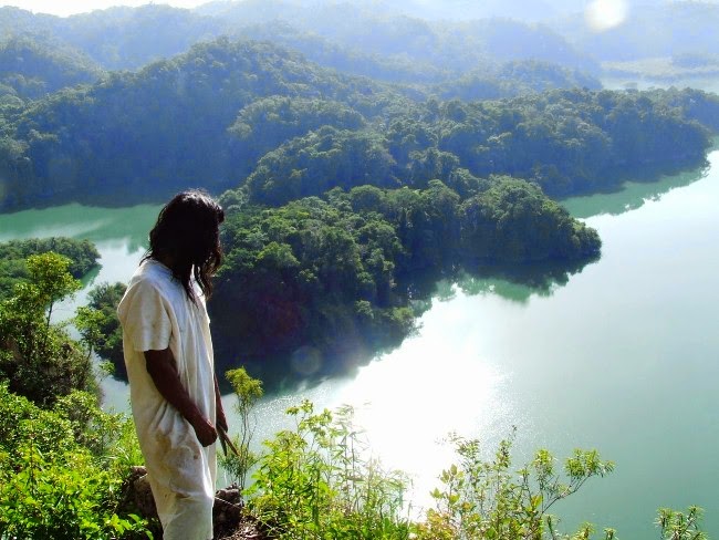 BiOjUnKiEs: La Selva Lacandona