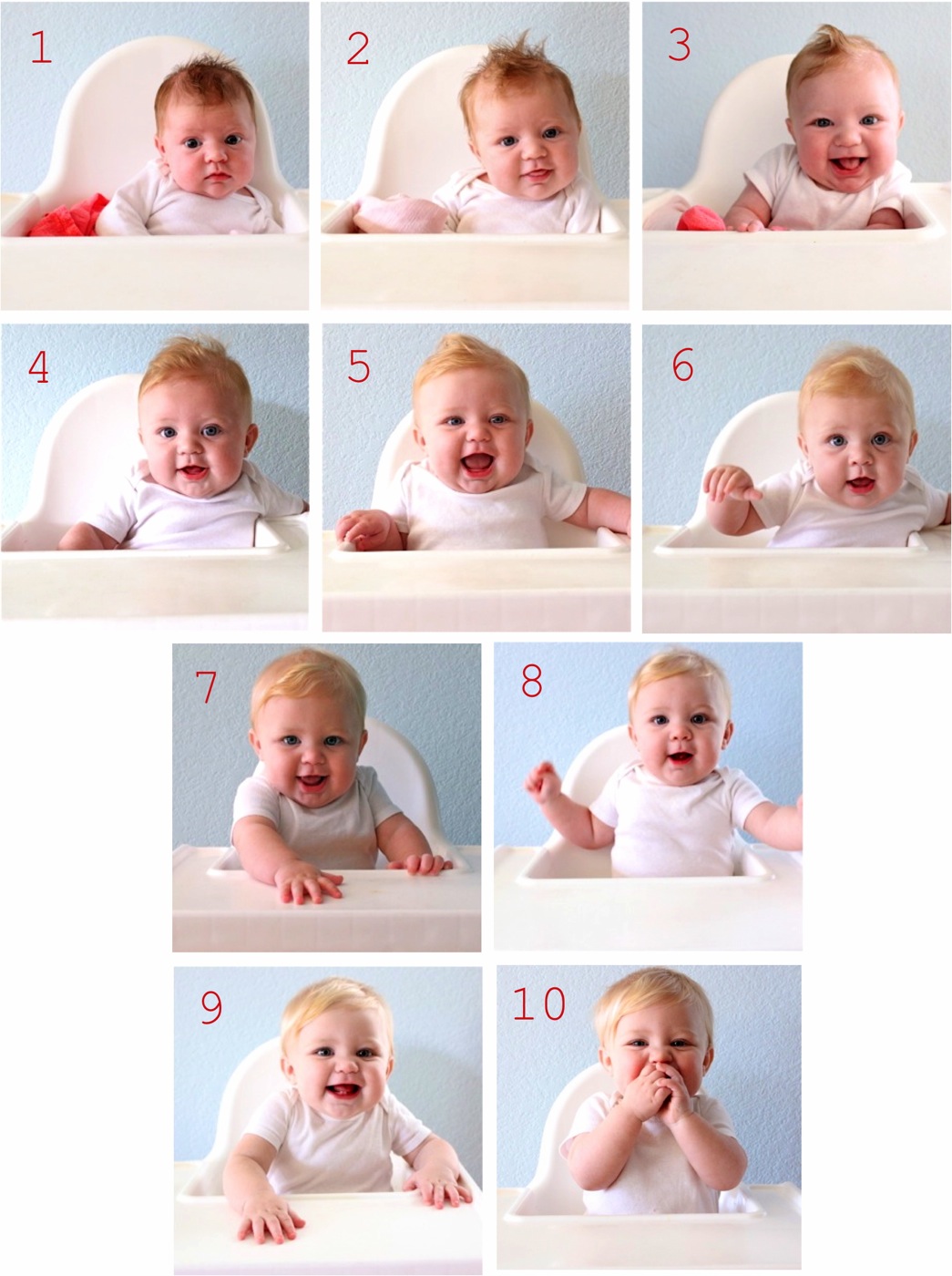 10 months old - MADE EVERYDAY