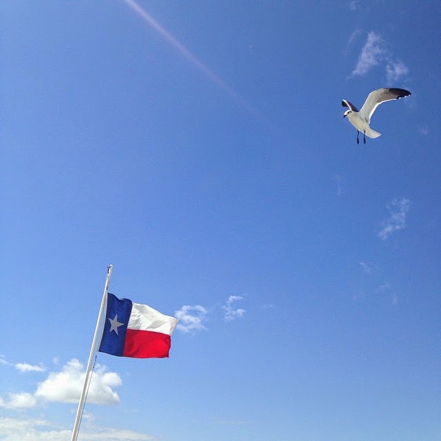 Dance and Dream 4 Ever