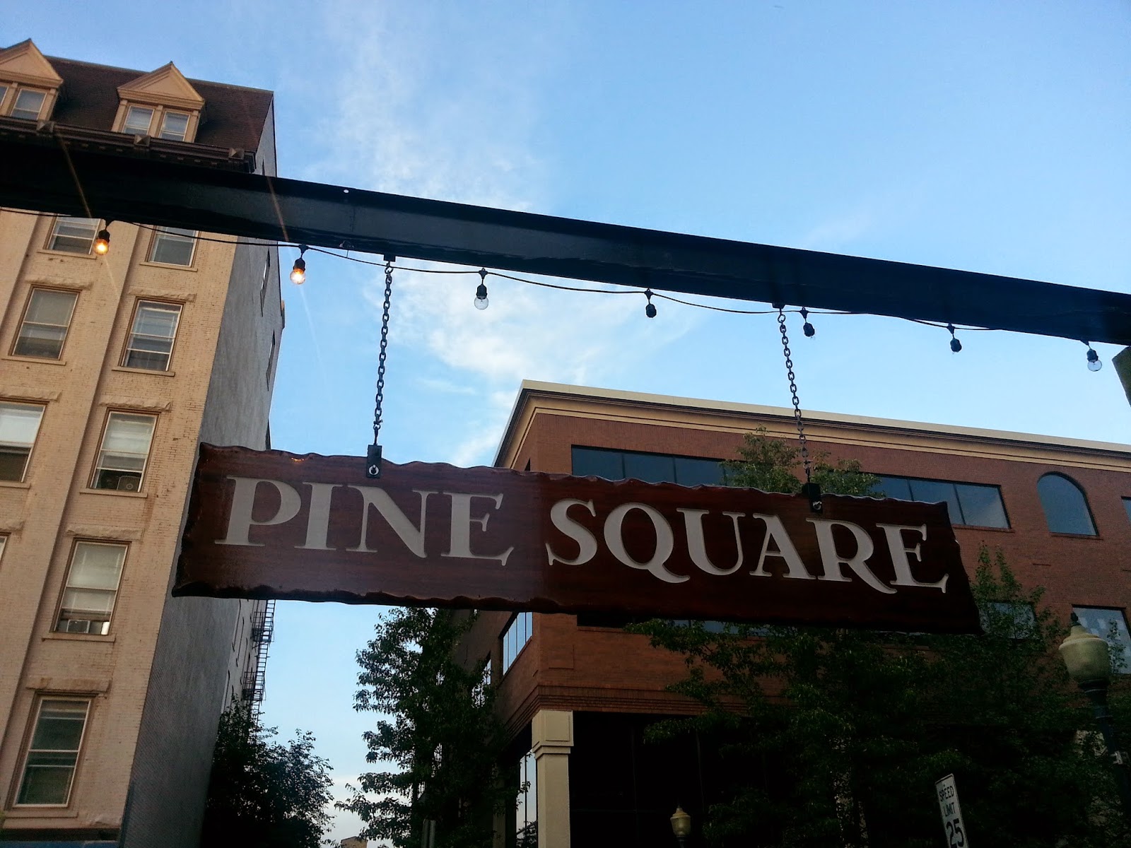 Valley Girl Views: The Stonehouse on Pine Square In Williamsport PA