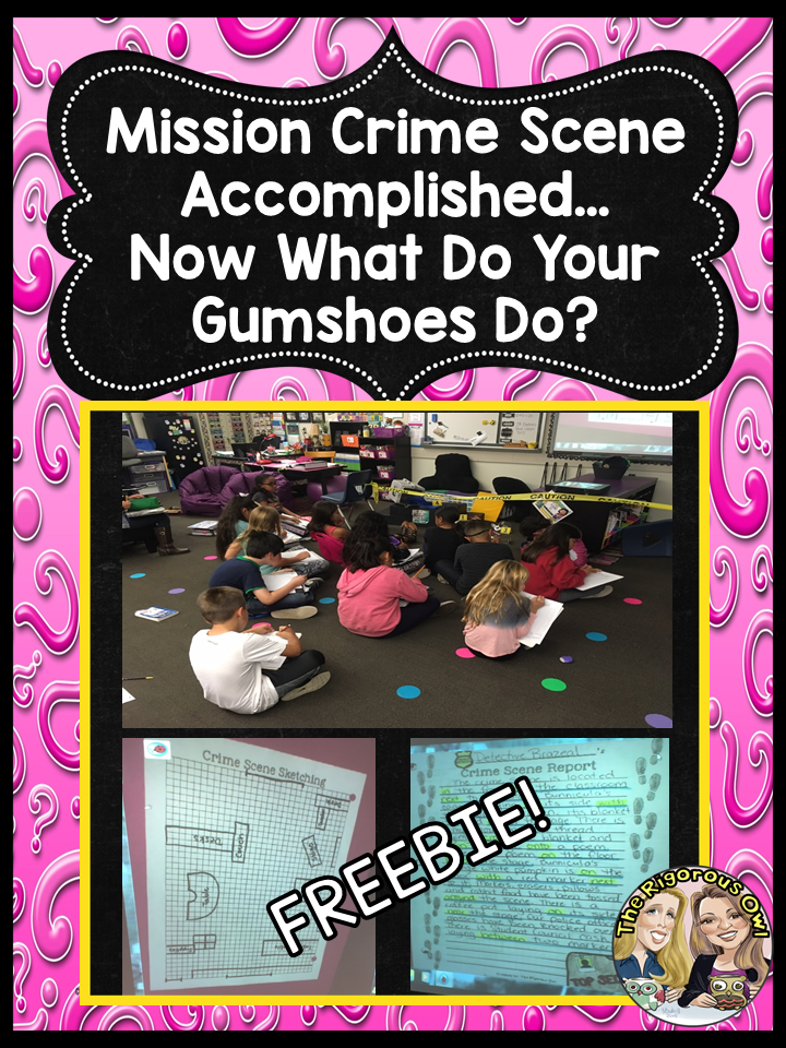 Detective Mystery Unit Made Easy! - The Rigorous Owl