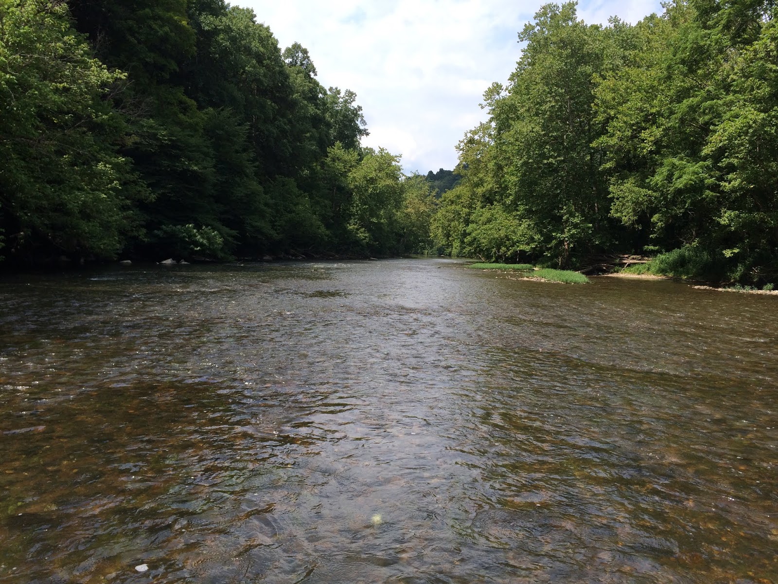 Virginia Water Radio: Episode 435 (8-27-18): Virginia's Freshwater ...