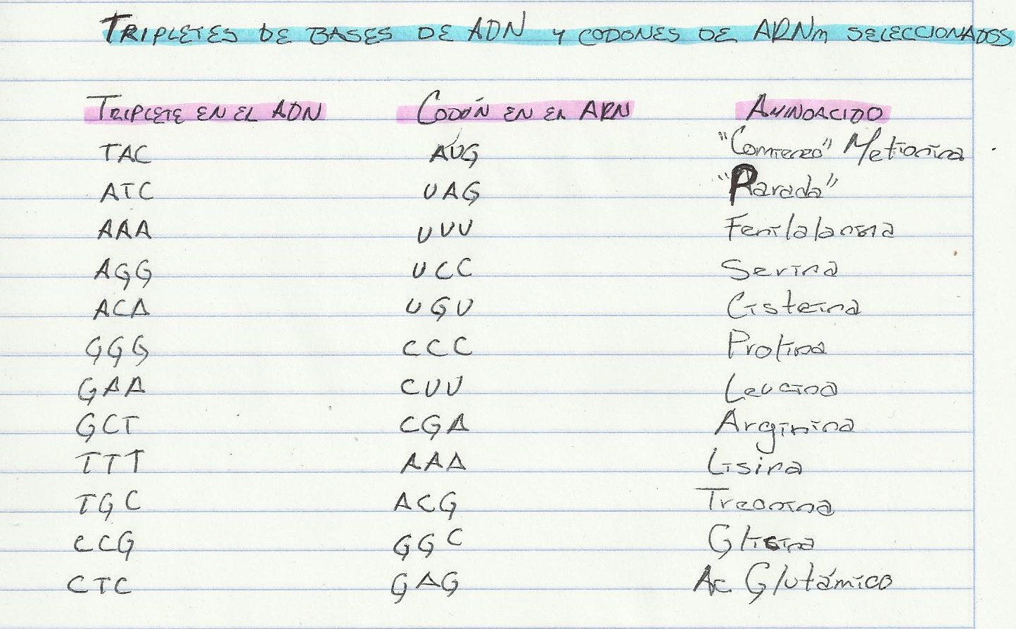 PORTAFOLIO DE FISIOLOGIA: TRIPLETES DE BASES DE ADN Y CODONES DE ARNm