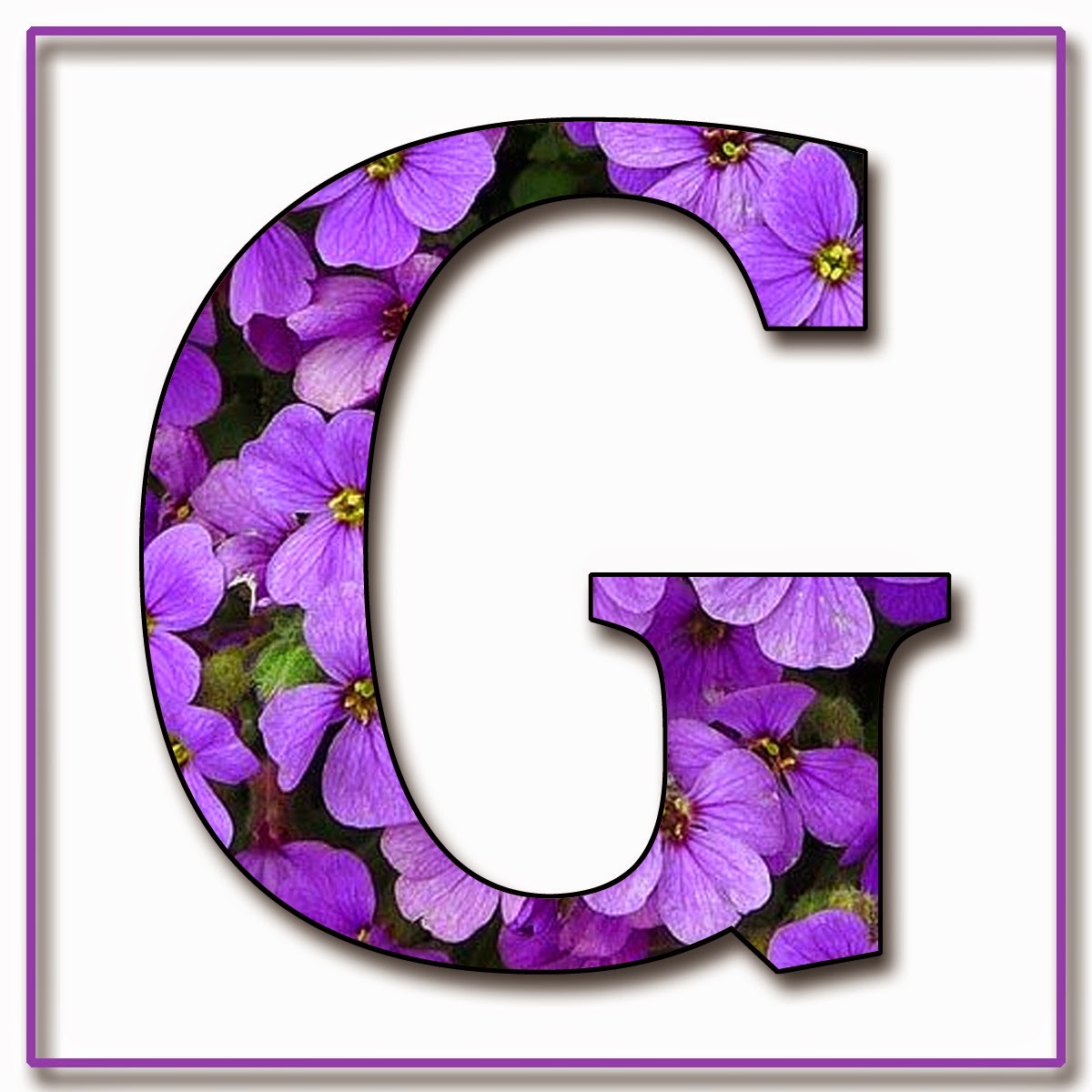 SGBlogosfera. María José Argüeso: DE VIOLETAS