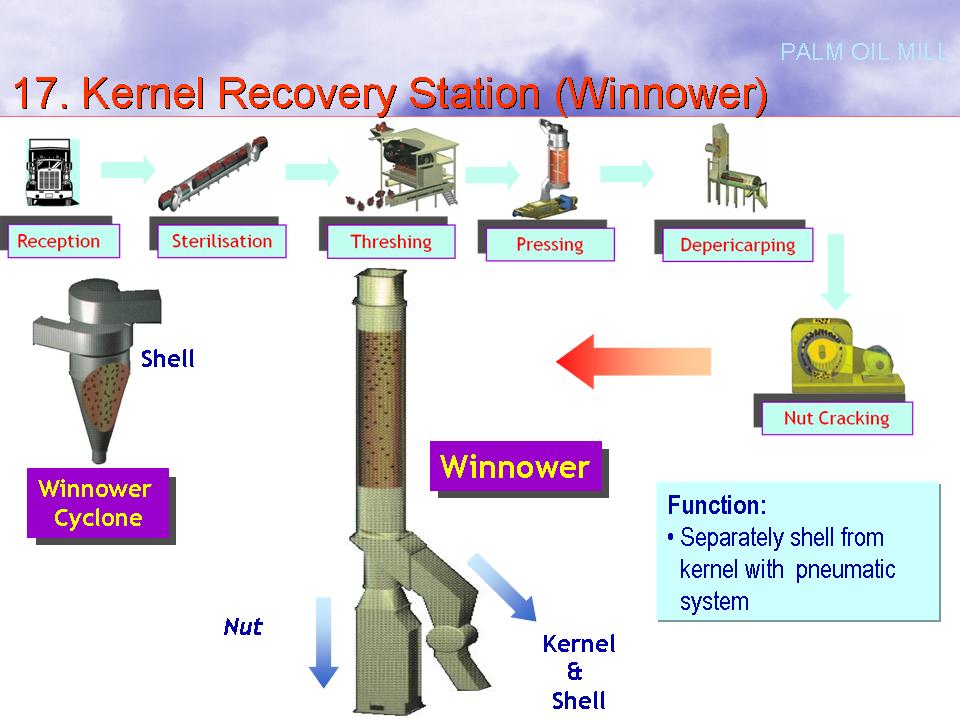 Pabrik Pengolahan Kelapa Sawit | Kelapa Sawit