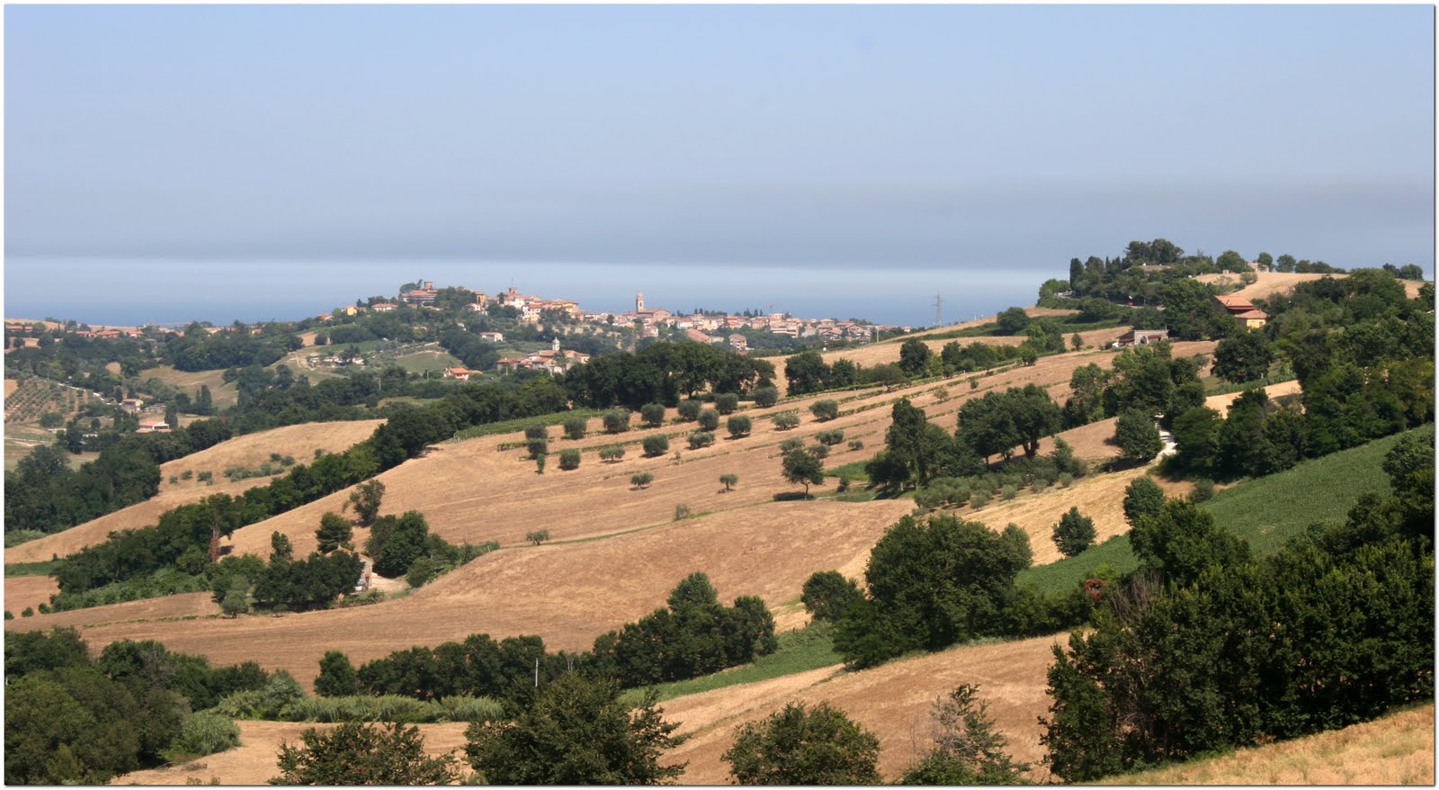 Tra Catria e Adriatico natura e storia: Poiane intorno a casa...