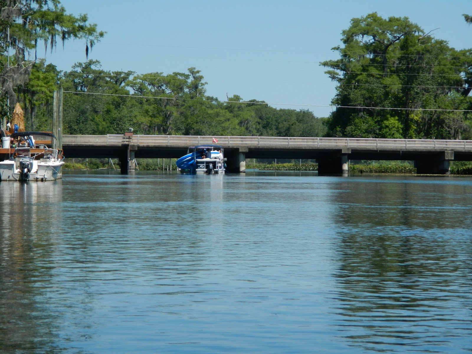 Florida - Coast to Coast to Coast: Kayaking on the Wakulla River