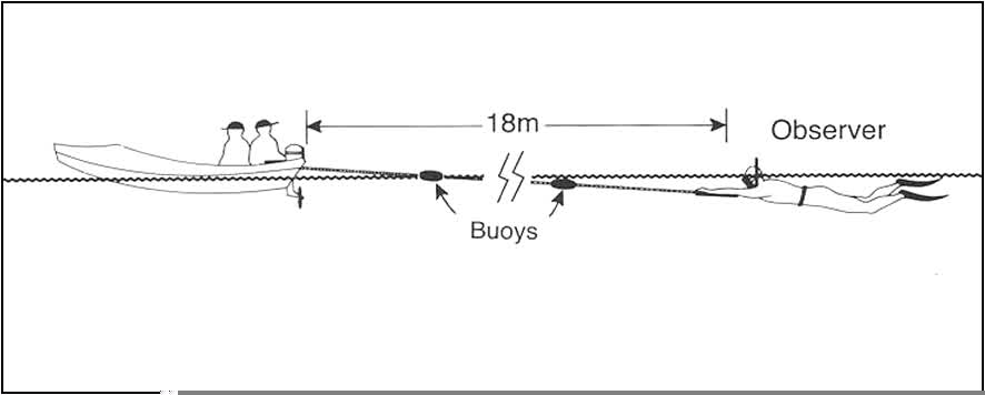 MONITORING TERUMBU KARANG PANTAI SANUR, BALI DAN DI PERAIRAN LAUT SAWU ...