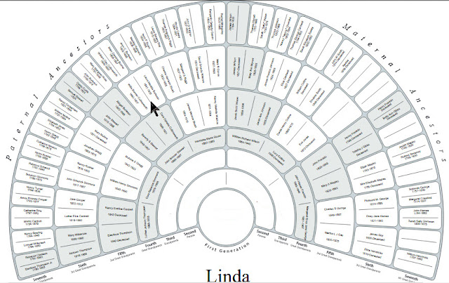 The Ultimate Family Historians: How to use GEDmatch - Part 1