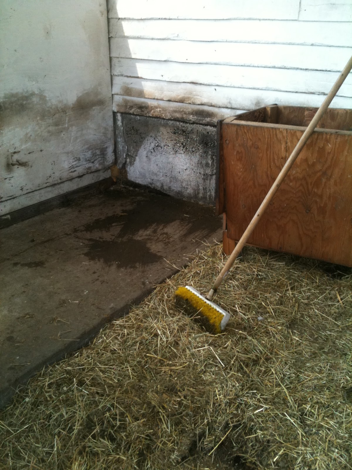 Several Gardens Farm: Barn cleaning