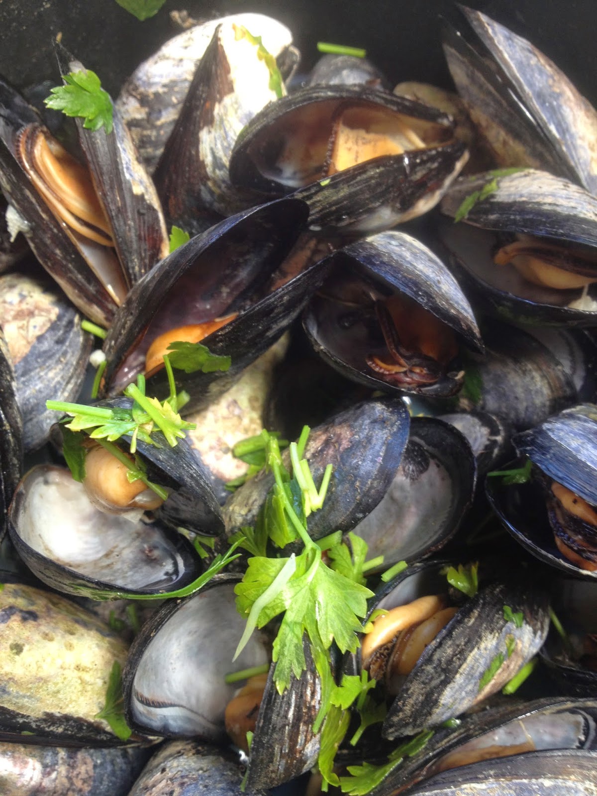 Choritos en su concha