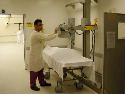 necropsista Sergio Honorio: Como é feita uma NECROPSIA