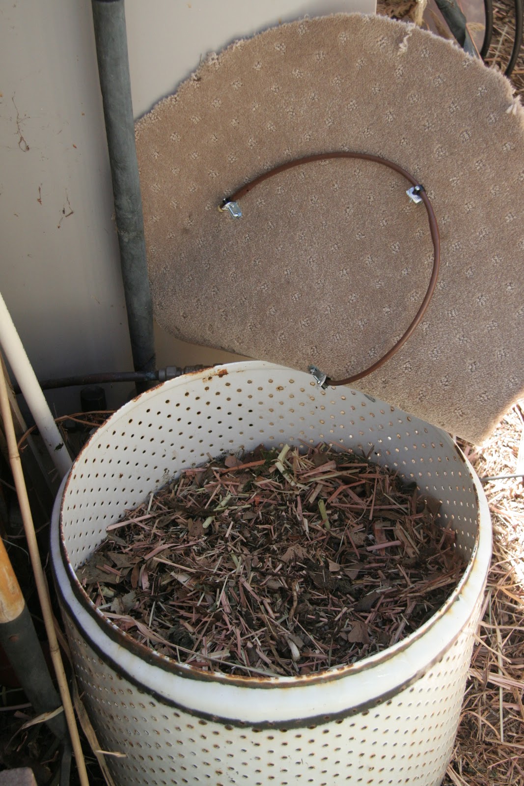 Hotpatch Gardening: Cooking Compost, Chilli Oil & planting more ...