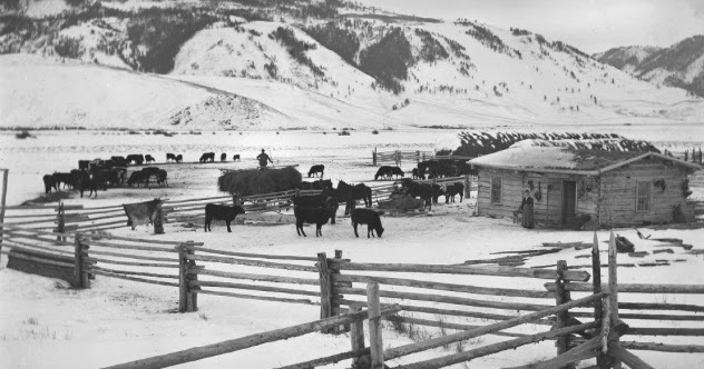 Winter Wyoming Cattle Ranch Scene 1891 | Big Picture Agriculture