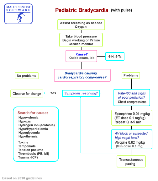 Algoritma ACLS, Advance Cardiac Life Support Algorithm Medical Articles