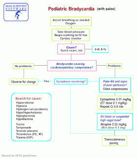 Algoritma ACLS, Advance Cardiac Life Support Algorithm Medical Articles