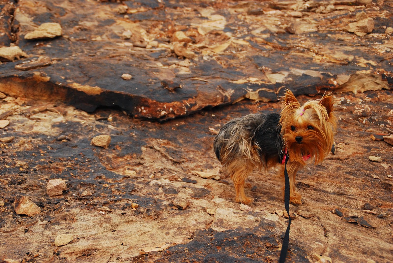 summertime adventure.