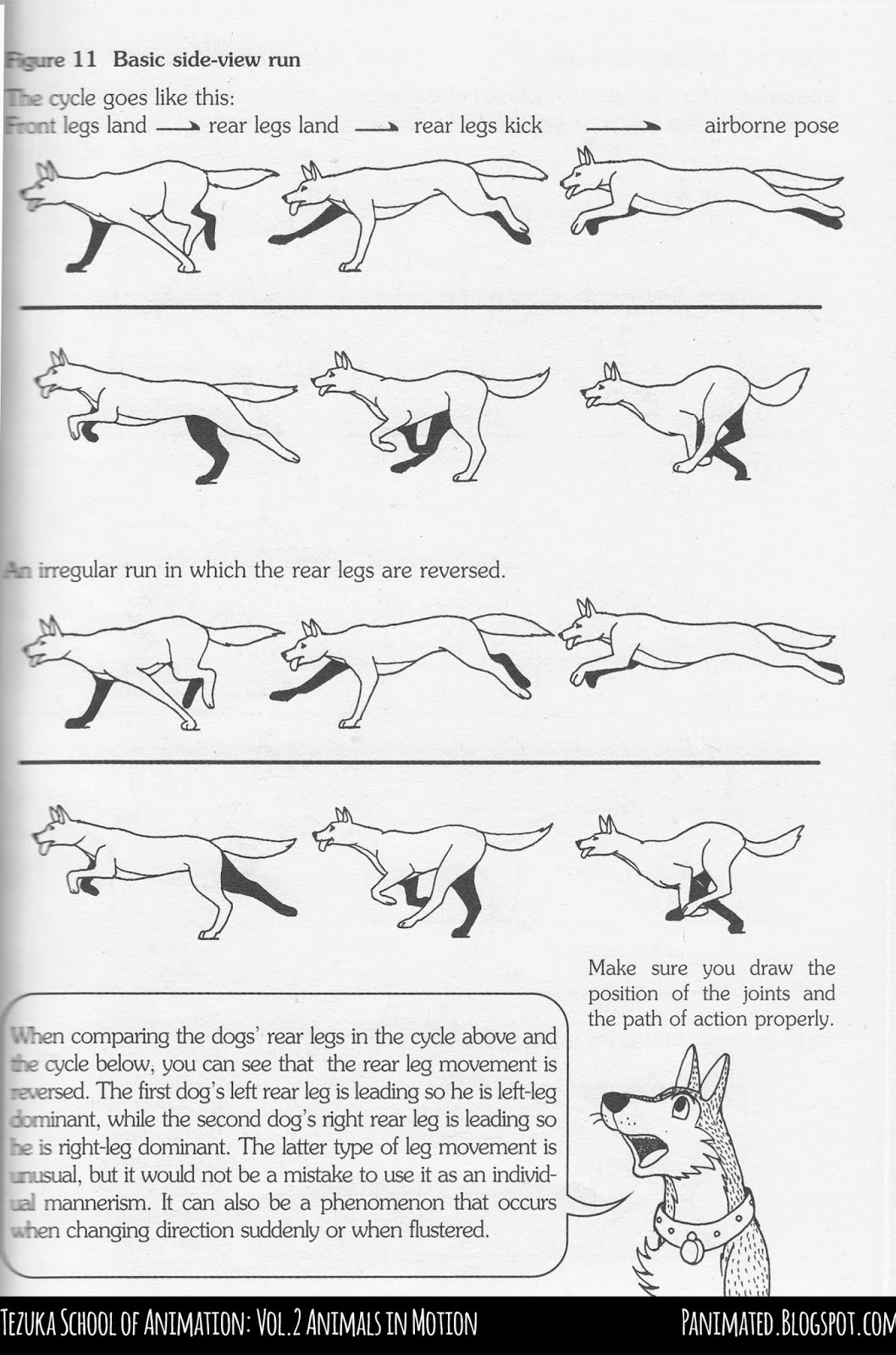 Panimated: Tezuka School of Animation: Vol. 2 Animals in Motion