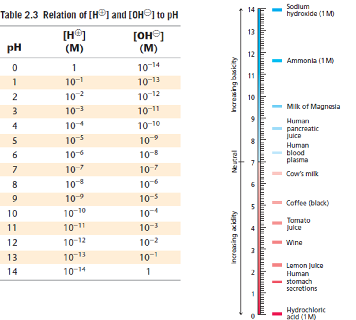 Biochemistry Made Easy: Water and pH
