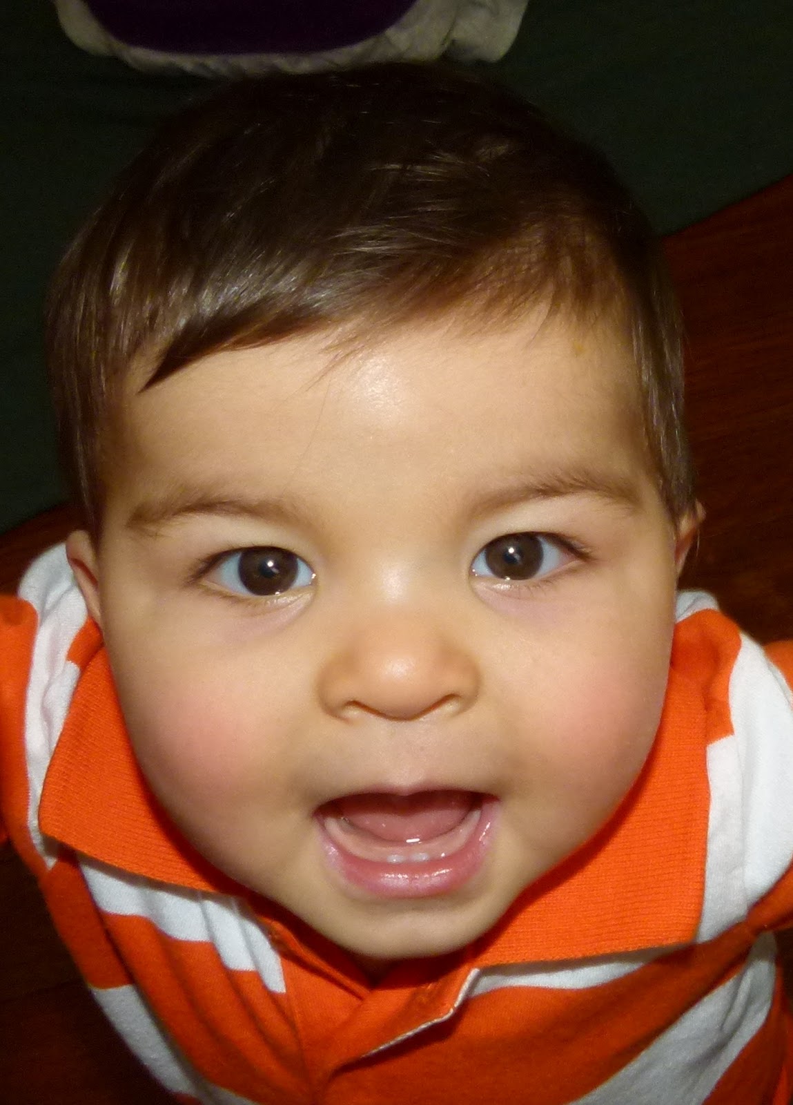 The New Catalano Family