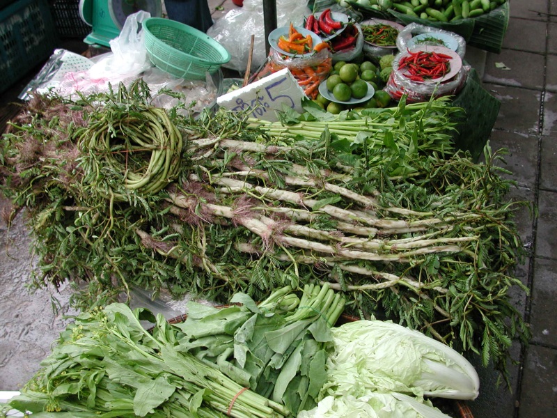 El cuexcomate: Mas sobre quelites