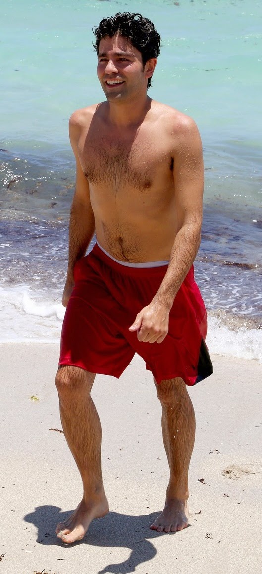 VJBrendan.com: Adrian Grenier Hits the Beach in Miami