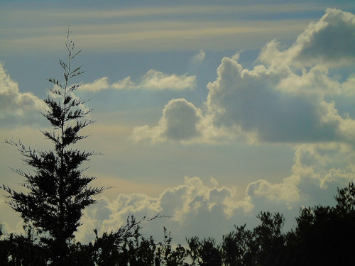 UM JEITO MANSO: Stratus, cumulus, cirrus, nimbus