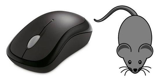 SugengRDiary: Membandingkan Tetikus, Merek dan Tipe Sama tetapi ...