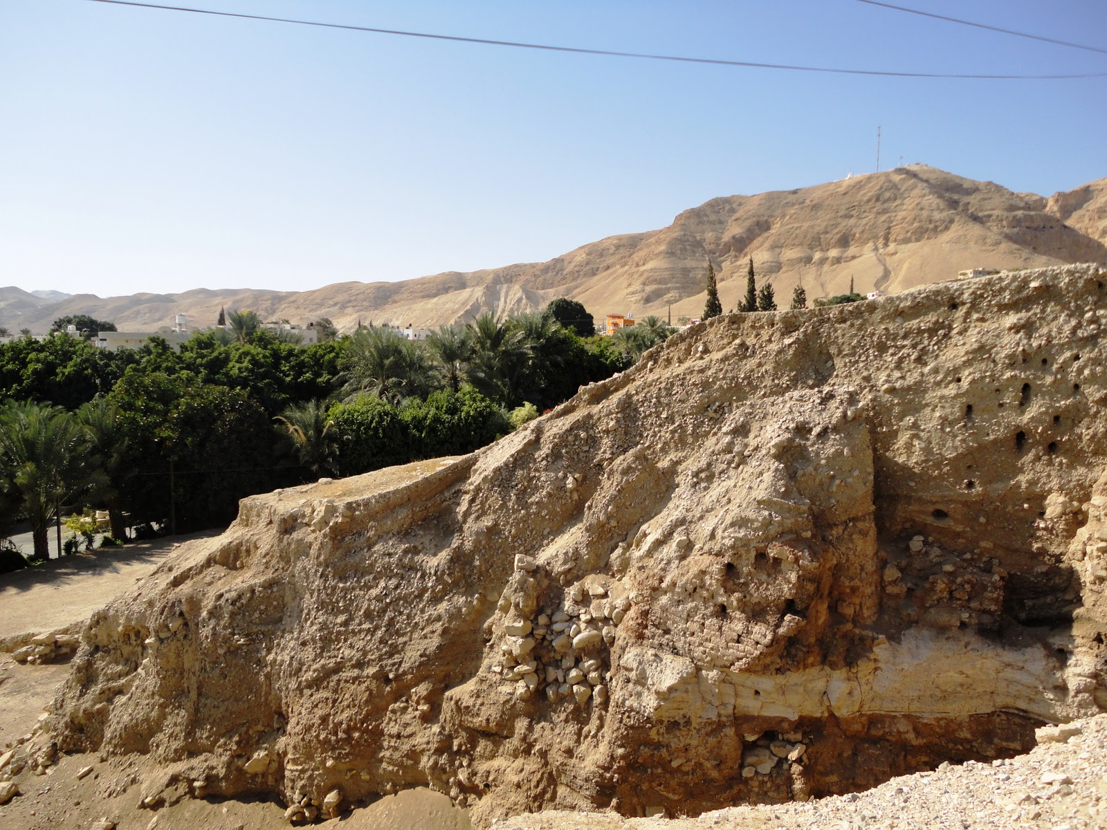 Sarah*s AFDiA in Israel