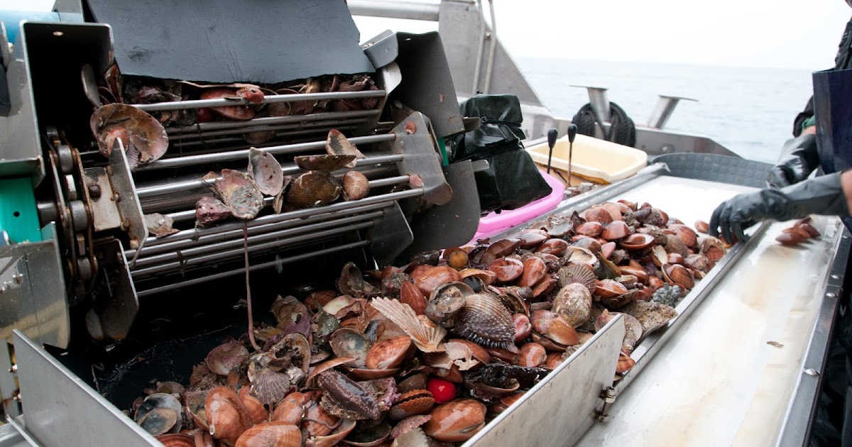 PAGINA DELLA PESCA: AL VIA IL FONDO DI ASSISTENZA SANITARIA INTEGRATIVA ...