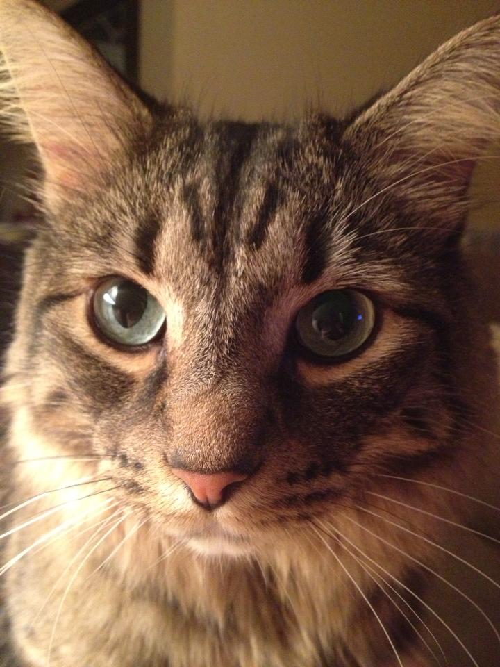 Confessions of a Fraidy Cat: Lord Willin' and the Creek Don't Rise ...