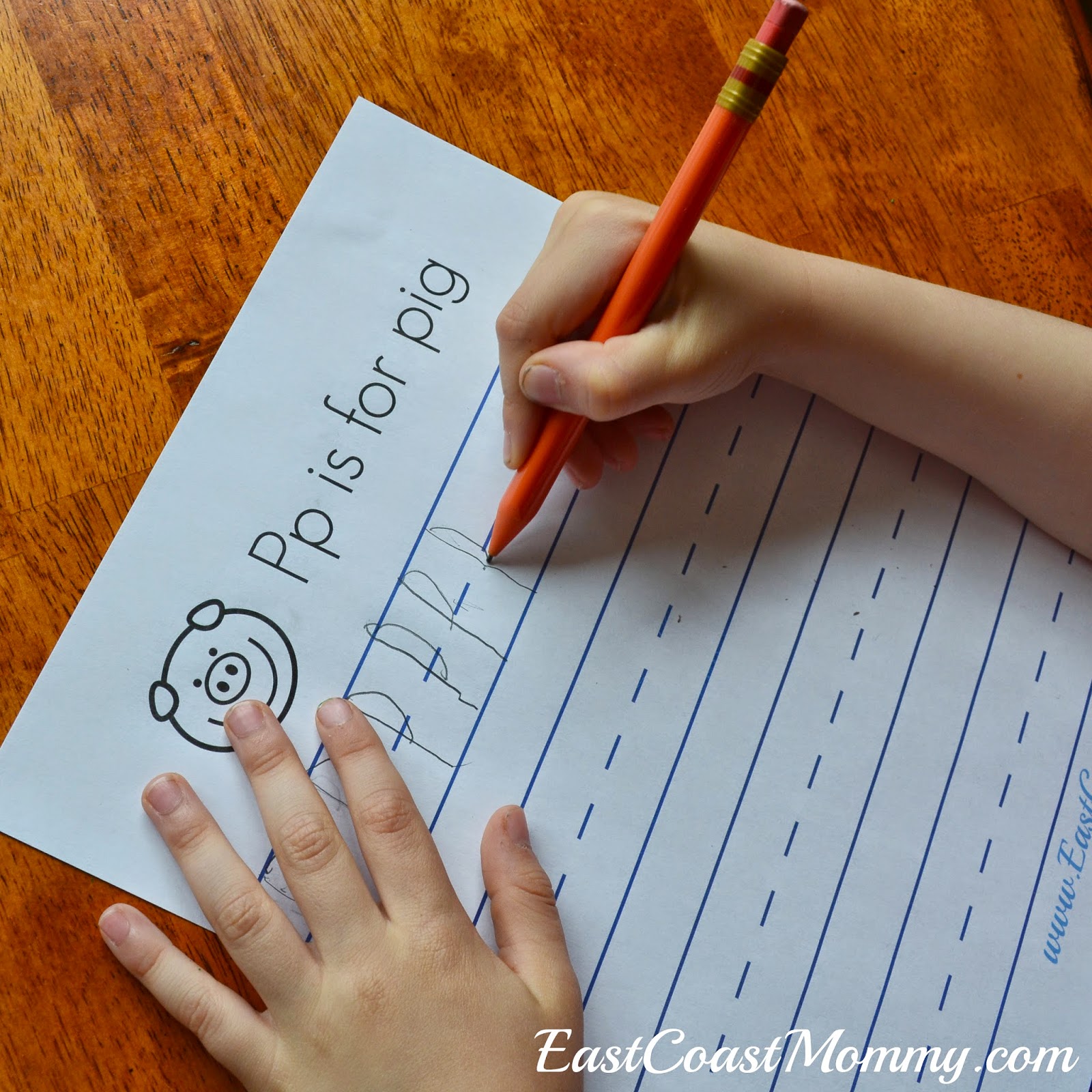 East Coast Mommy: Alphabet Crafts - Letter P