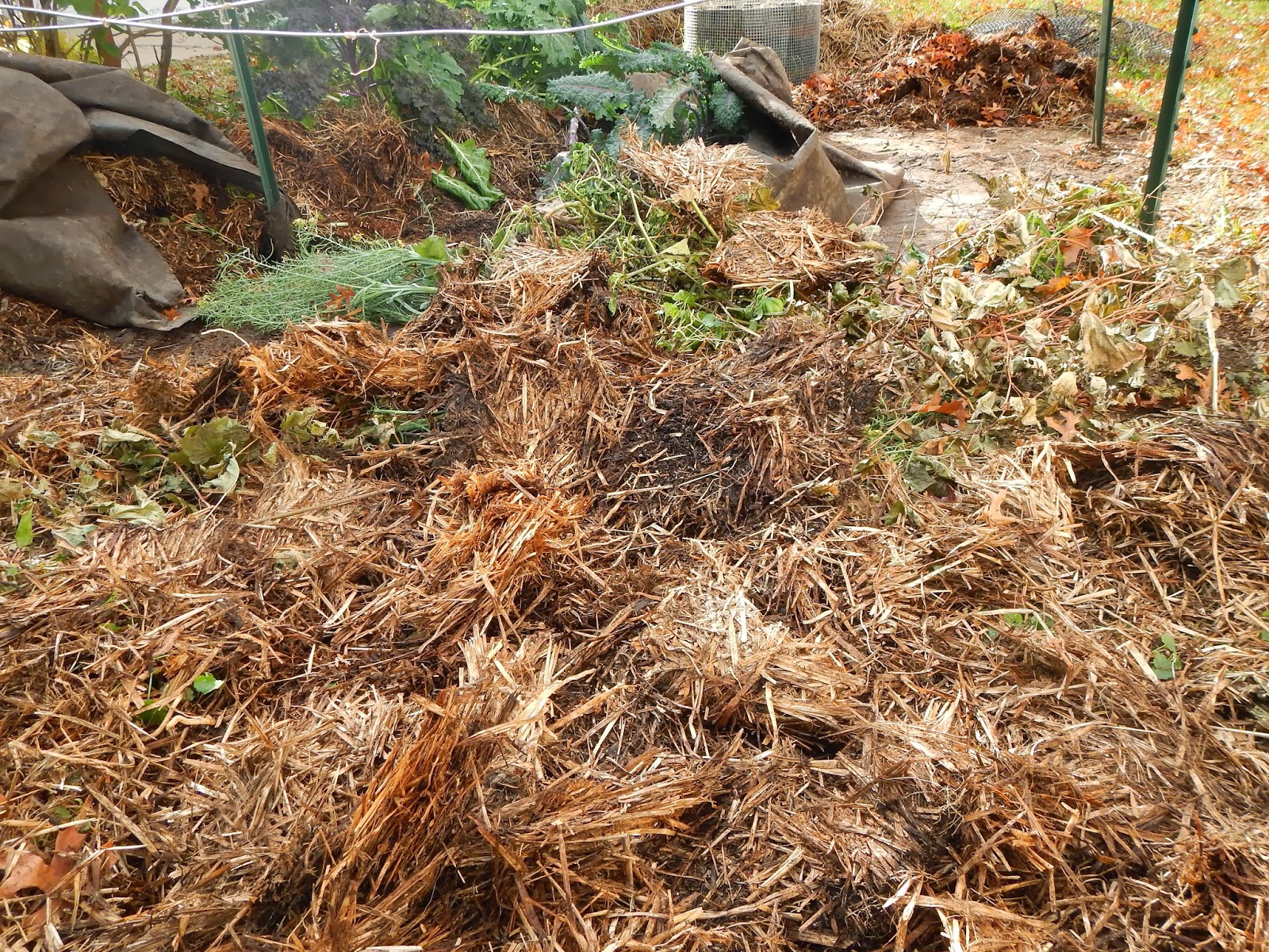 Day by Day Homesteading: The Art of Creating Resiliency, One Day at a ...