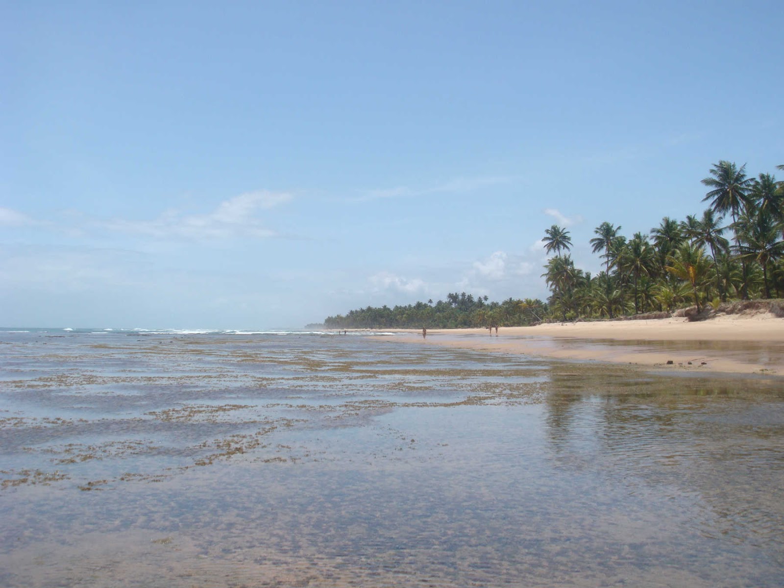 Dicas de viagem para Barra Grande - Bahia - Renata Viaja...