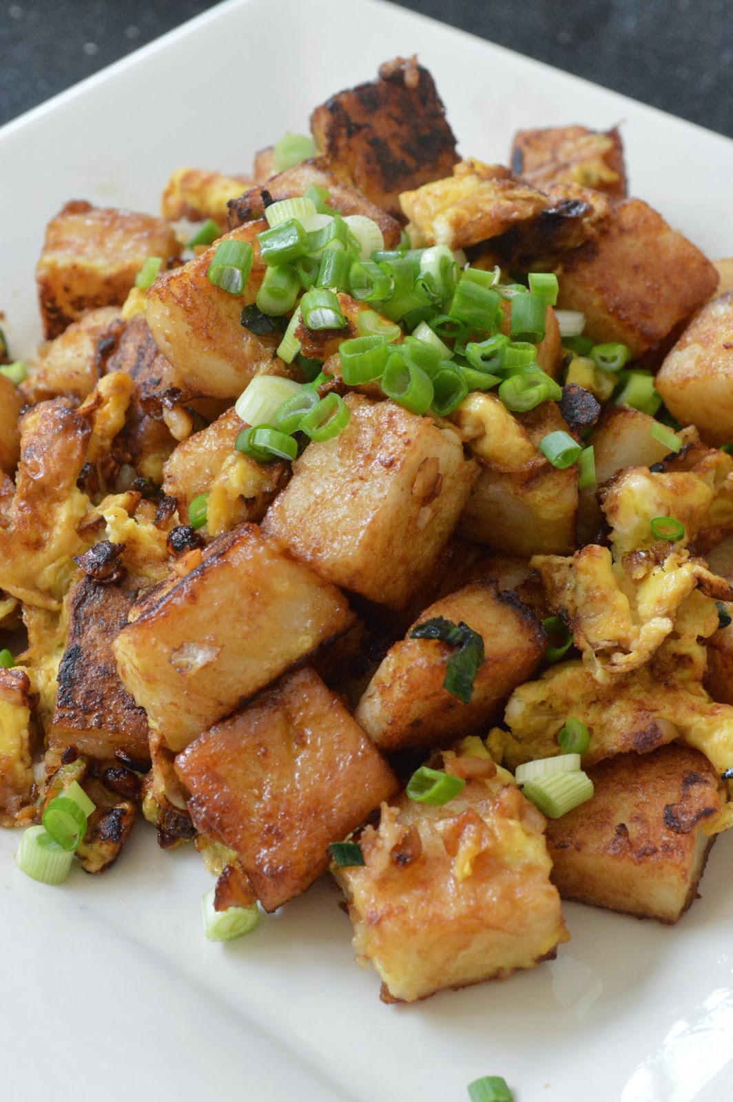 DimSumptuous: Fried Carrot (Radish) Cake 炒蘿蔔糕