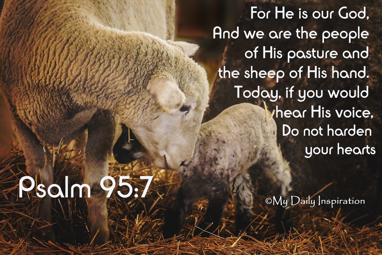 We are the people of his pasture, and the sheep of his hand