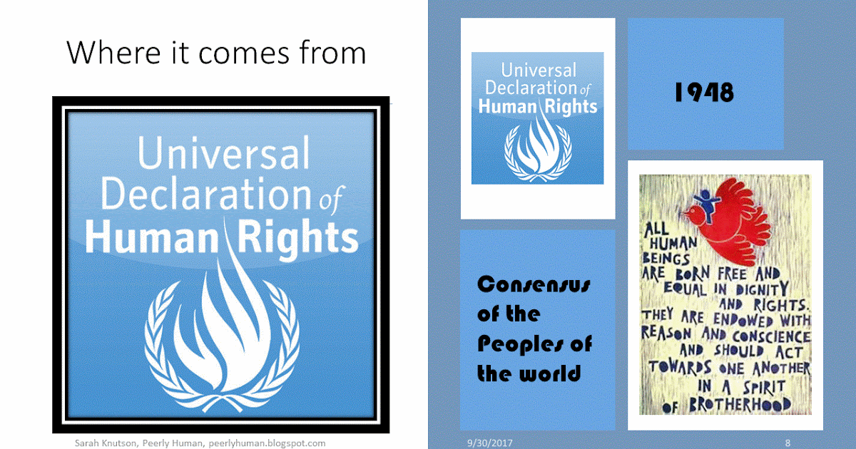 Peerly Human: Where Do Human Rights Come From?