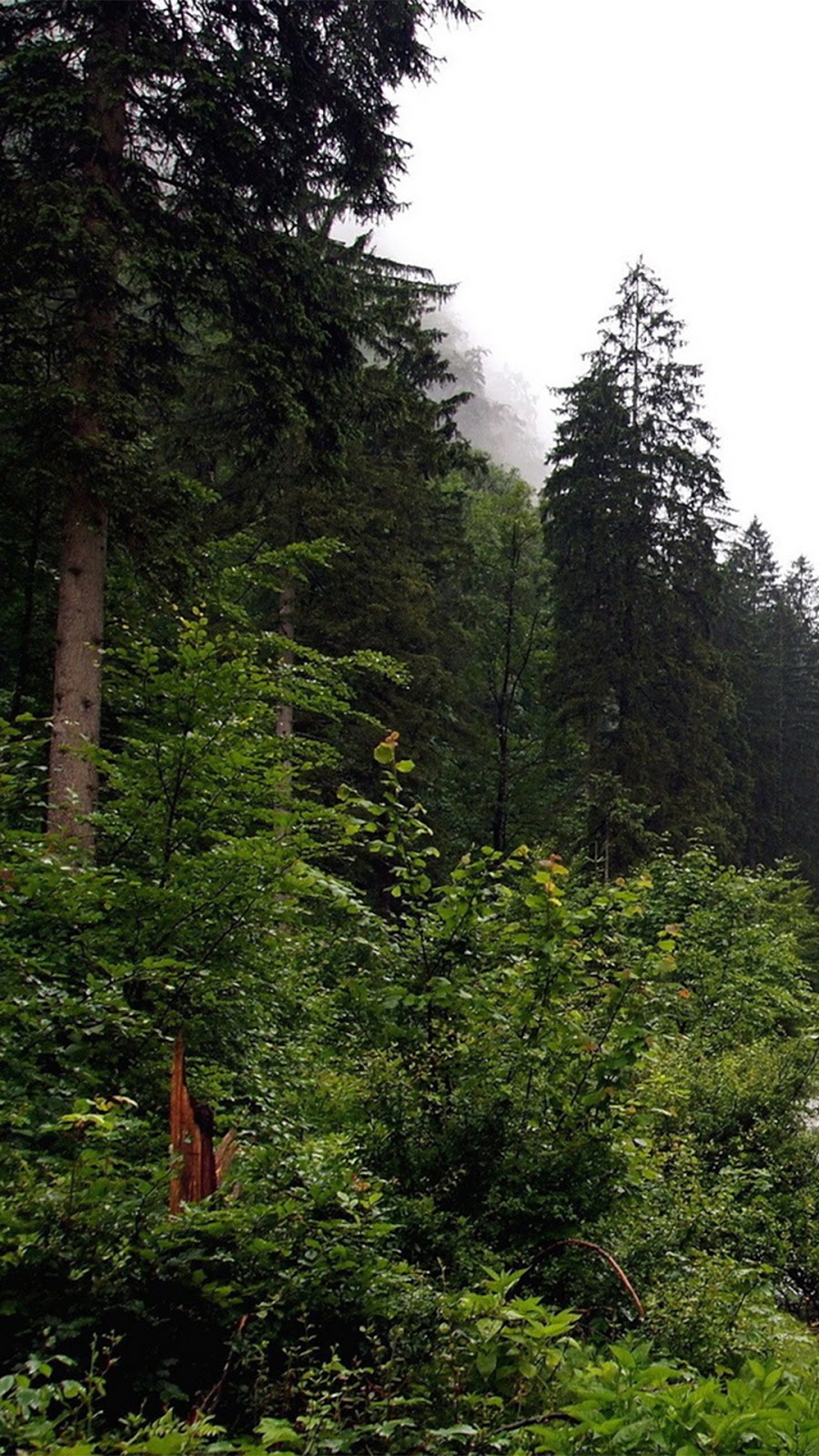 Fondo android pack 195