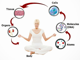 Amazing Amega: LEAD A WAND-ERFUL LIFE! BE REJUVENATED AND REVITALIZED ...