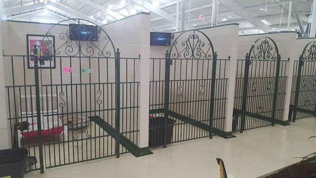 Spring Open House & Cutest Dog Contest to be Hosted by PetSuites ...