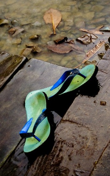 ~ Memori Hidupku ~: Selipar Jepun, Bunga Jingga..