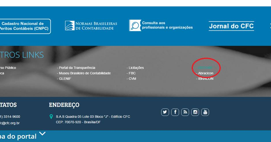 Portal do Contador: CFC disponibiliza página exclusiva com orientações ...