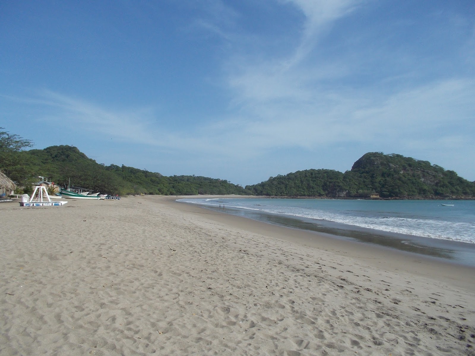 COQUÍN DE LOS BOSQUES EN CENTRO AMÉRICA: PLAYA GIGANTE, PLAYA AMARILLO ...