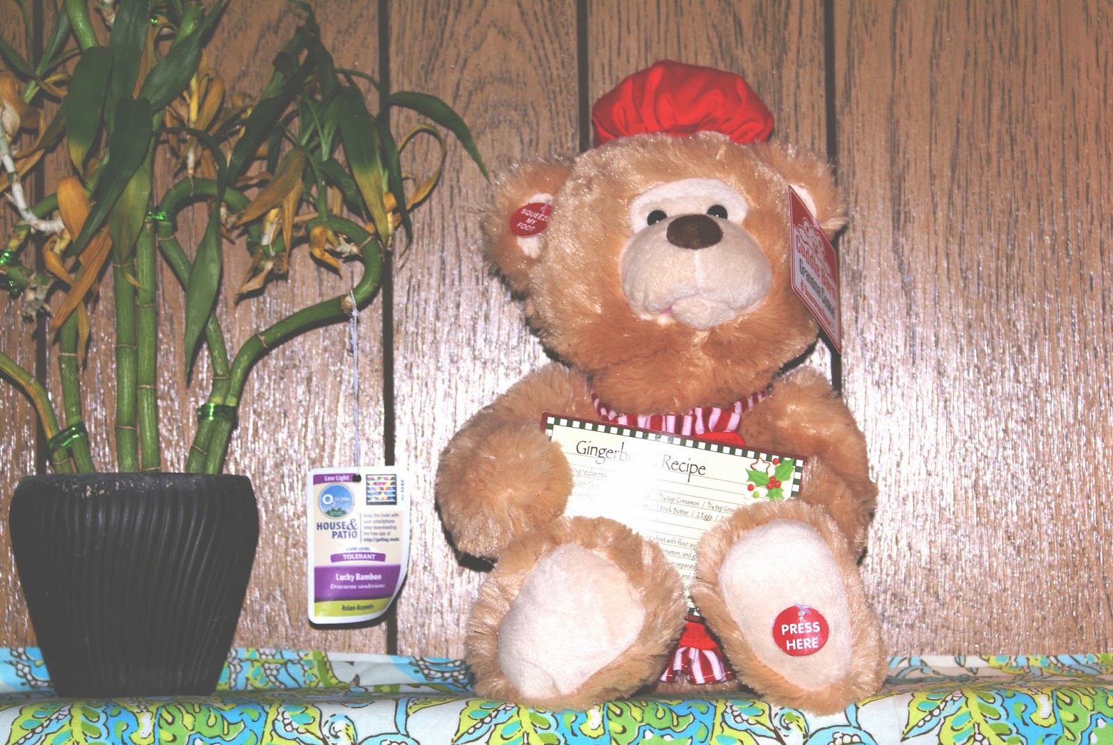 Cuddle Barn Grandma's Cookie's Holiday Teddy Giveaway ends 12/20 ...