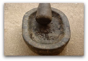 Sweet Flag (Vasambu) Medicinal Use : Best Lice Treatment at Home ...