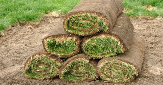 The Grass is Greener: You poor sod