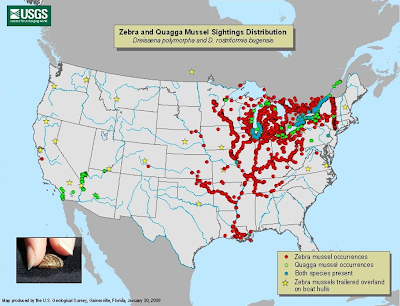Lower Allegheny Sustainable Streams Organization (LASSO): Zebra Mussels ...